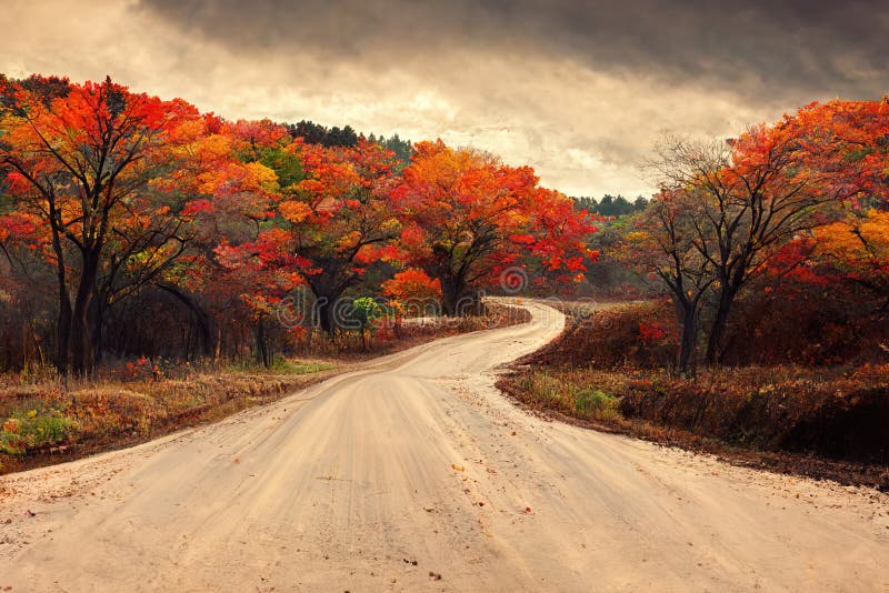 Autumn Fall Leaves, Seasons, Brown, Gold Branches Stock Illustration ...