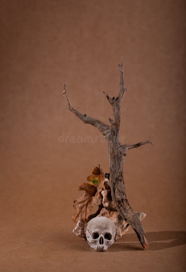 Autumn Fall Modern Still Life Stock Image - Image of concept, nature ...