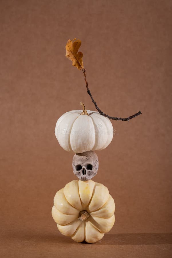 Autumn Fall Modern Still Life Stock Photo - Image of landscape, organic ...