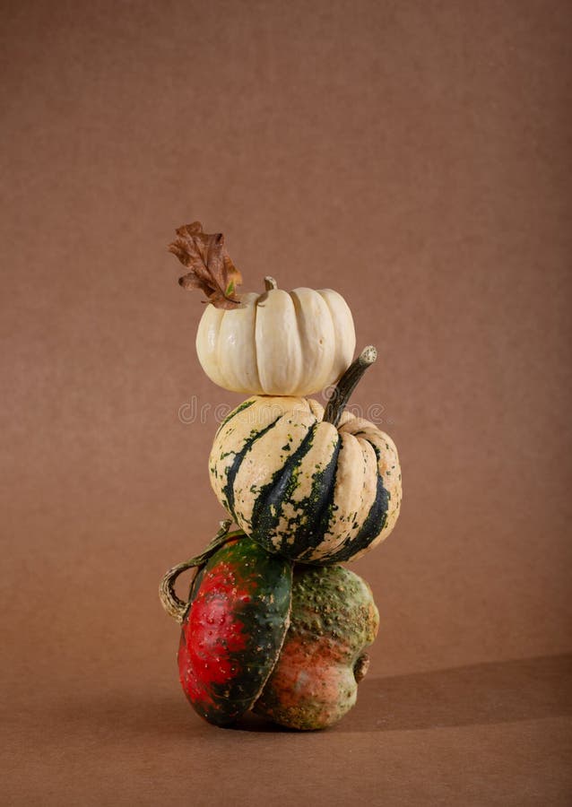 Autumn Fall Modern Still Life Stock Image - Image of still, frame ...