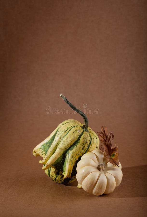 Autumn Fall Modern Still Life Stock Image - Image of halloween, farm ...