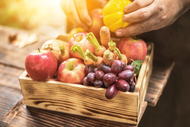 Autumn and Fall Season. Harvest Cornucopia with Fruit and Vegetable ...