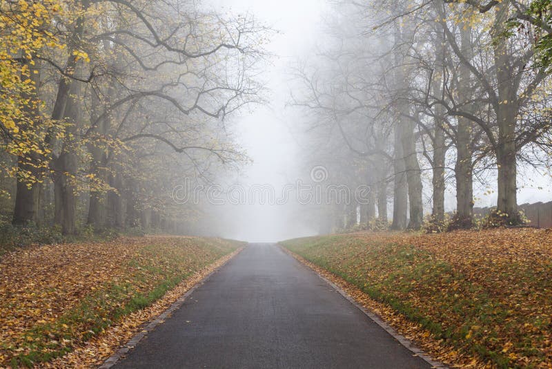 Autumn Fall Tree Lined Road Leading Into Mist Or Fog Stock Image ...