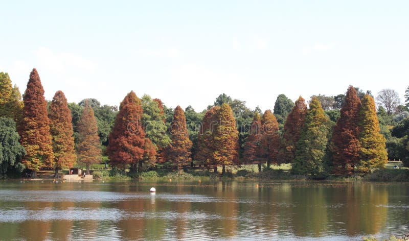 Autumn or Fall Trees at the Dam Stock Image - Image of morning ...