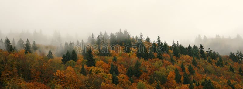 Autumn Fall Trees Mountain stock image. Image of mountainside - 11519623