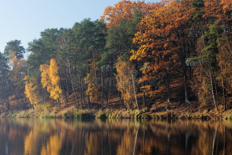 Autumn stock photo. Image of autumnal, nature, yellow - 157216604