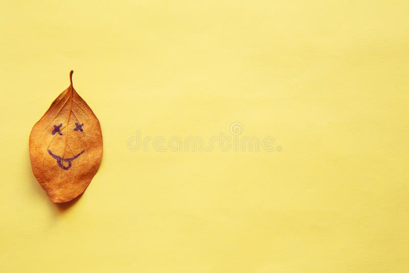 Autumn Fallen Leaf with the Smiley Drawn on it Stock Photo - Image of ...