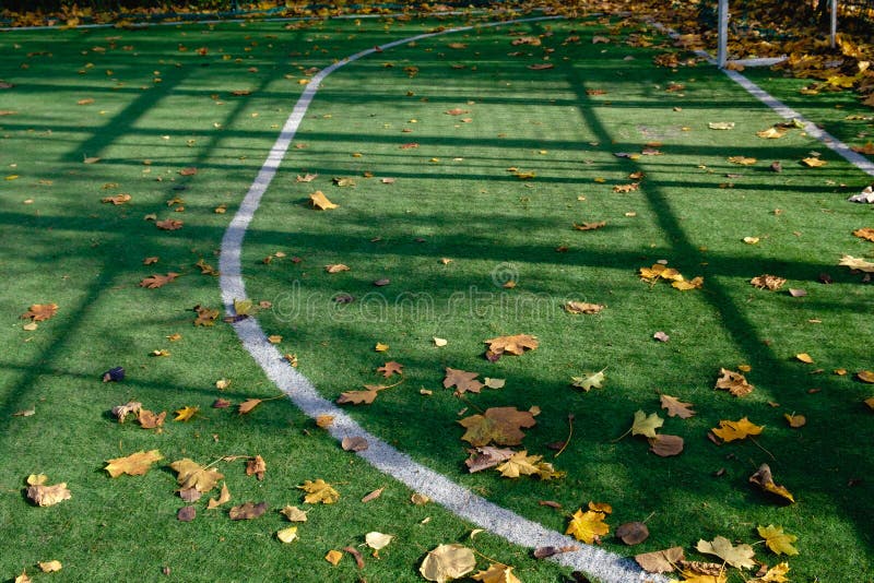 Autumn Fallen Leaves on the Artificial Turf of a Football Stock Image ...