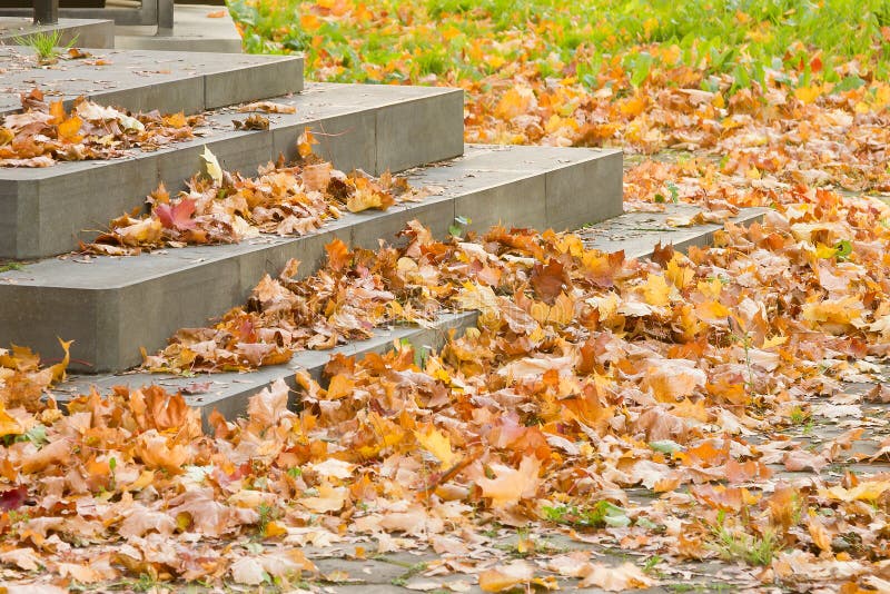 Autumn. Fallen Leaves on the Stairs. Stock Photo - Image of detail ...