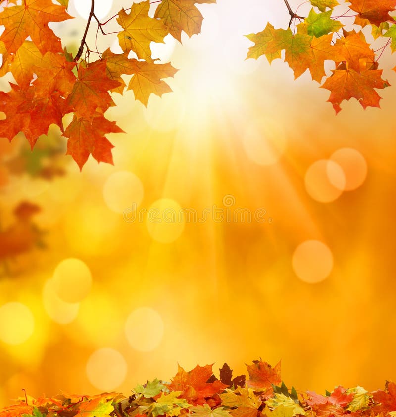 Beautiful Autumn Background Stock Photo - Image of park, leaves: 16438914