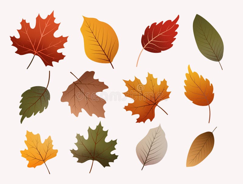 Autumn Falling Leaves Collection Set. Vector Illustration Stock Vector ...