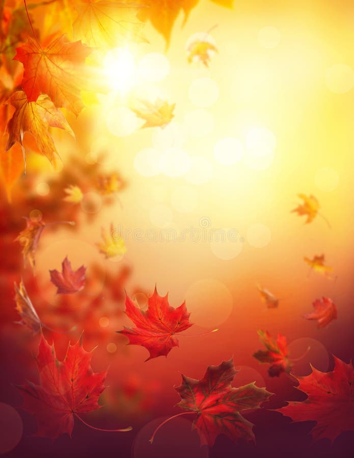 Autumn falling leaves stock photo. Image of nature, colorful - 27315222