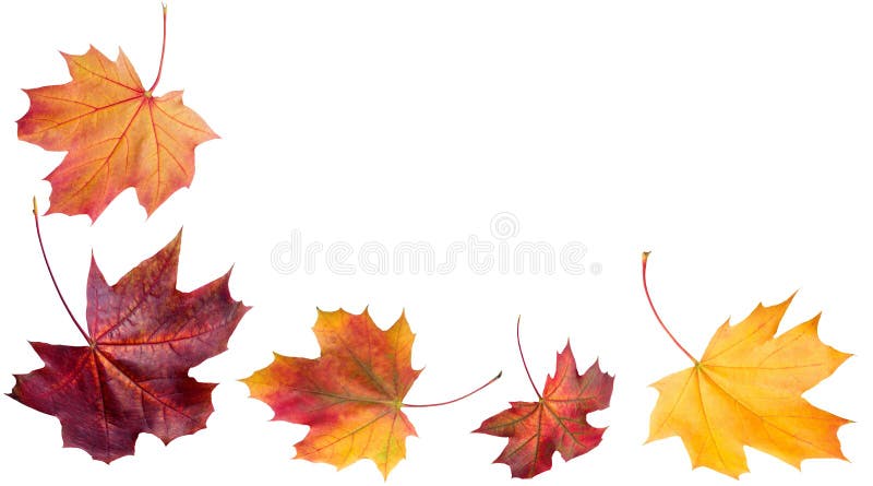 Autumn Falling Leaves. Autumn Design. Templates for Placards, Ba Stock ...