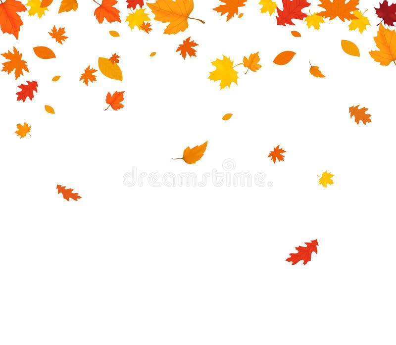 Autumn Falling Leaves on Transparent Background. Vector Autumnal ...