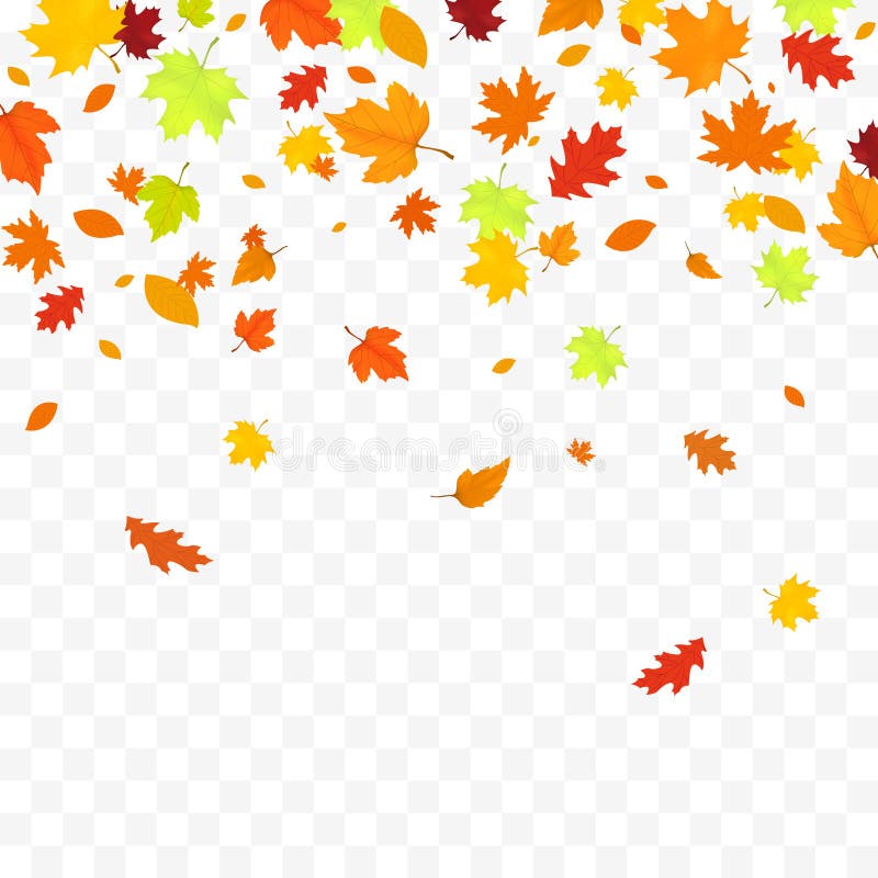 Autumn Falling Leaves Isolated Stock Vector - Illustration of vector ...
