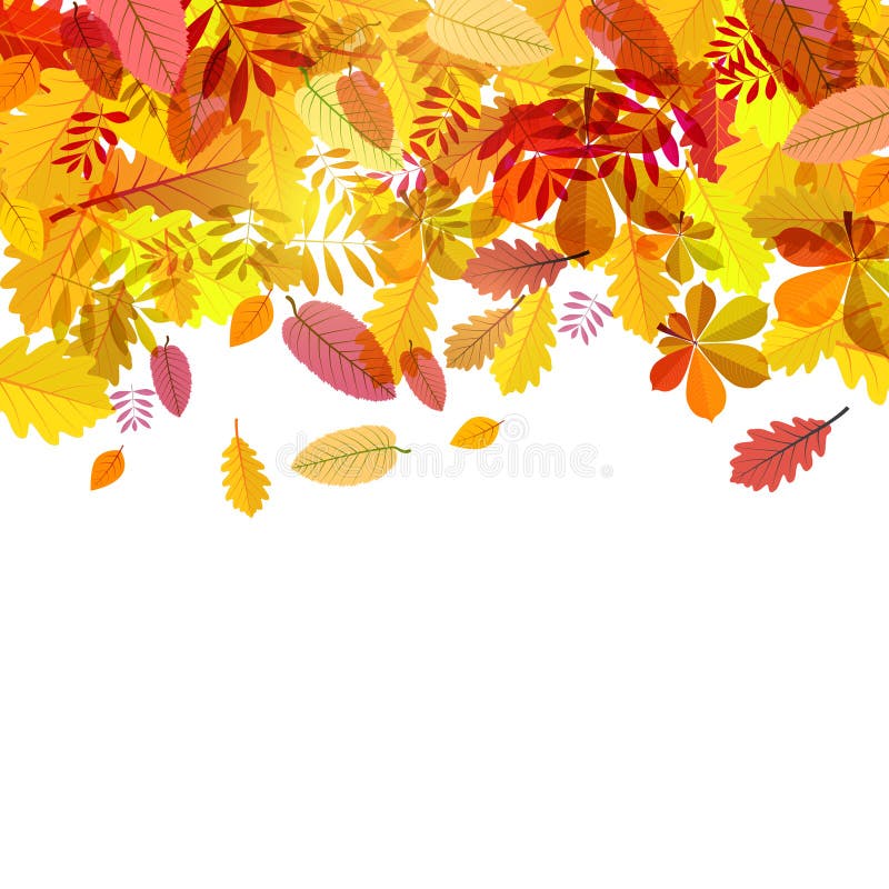 Autumn Falling Leaves stock vector. Illustration of ecology - 79382917