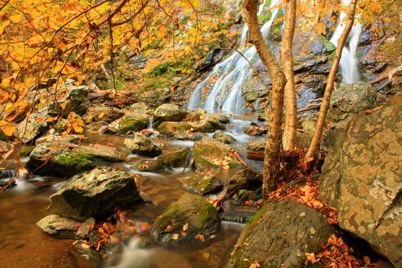 Autumn Falls stock photo. Image of mountains, foliage - 1469492