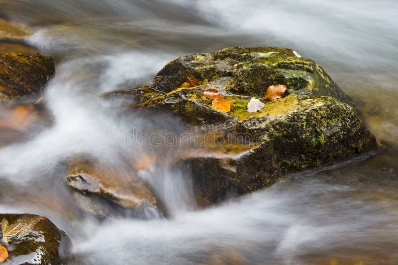 Autumn falls stock image. Image of peaceful, natural, perspective - 6970845