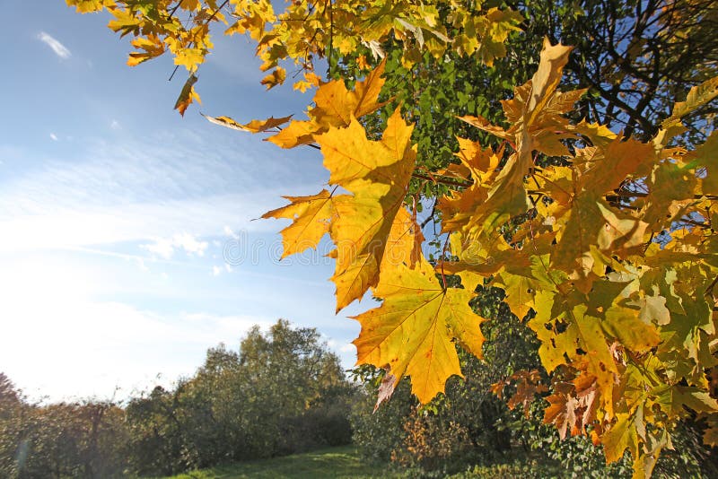 Autumn Falls stock photo. Image of river, beautiful, forest - 300346