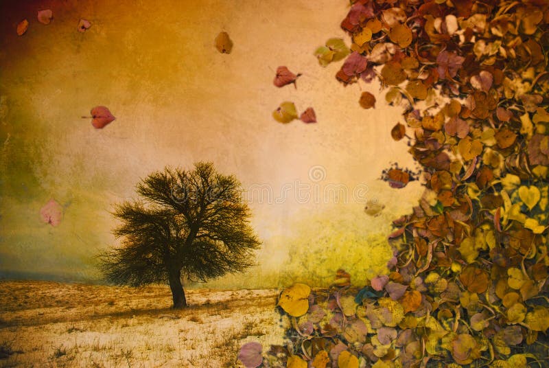 Autumn fantasy stock photo. Image of background, autumn - 64432948