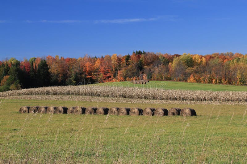 Autumn on the Farm stock photo. Image of aspen, harvest - 21580718