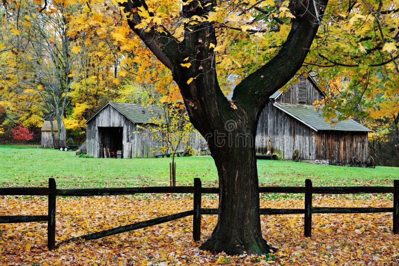 Autumn Farm stock image. Image of building, america, horizontal - 23759999