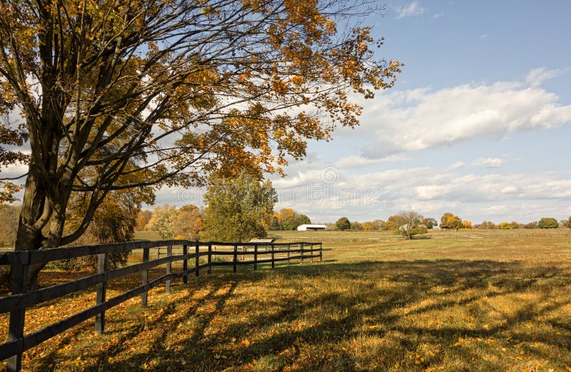 Autumn Farm Landscape stock afbeelding. Image of gebladerte - 100465587