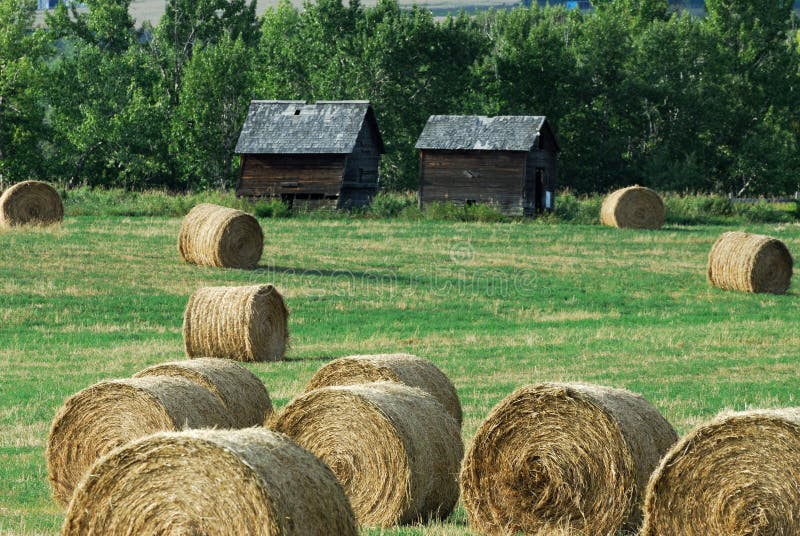 Autumn Farm and Straw Piles Stock Photo - Image of rural, gathering ...