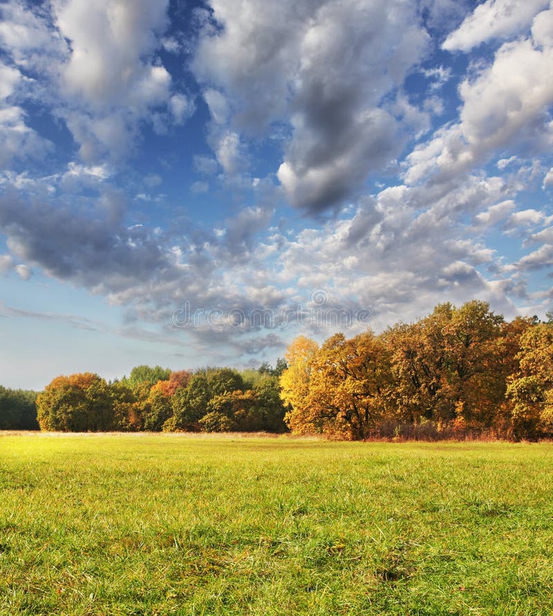 Autumn field stock photo. Image of agriculture, storm - 11330452