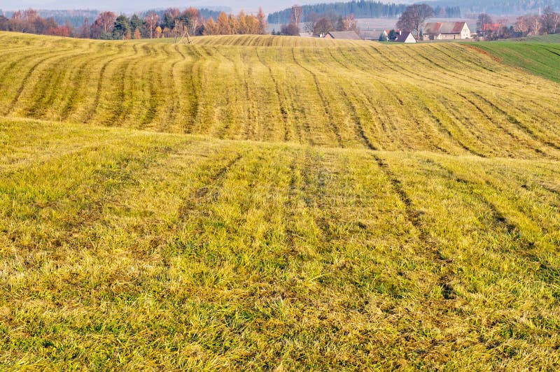 Autumn Field stock image. Image of grass, field, colorful - 22294799