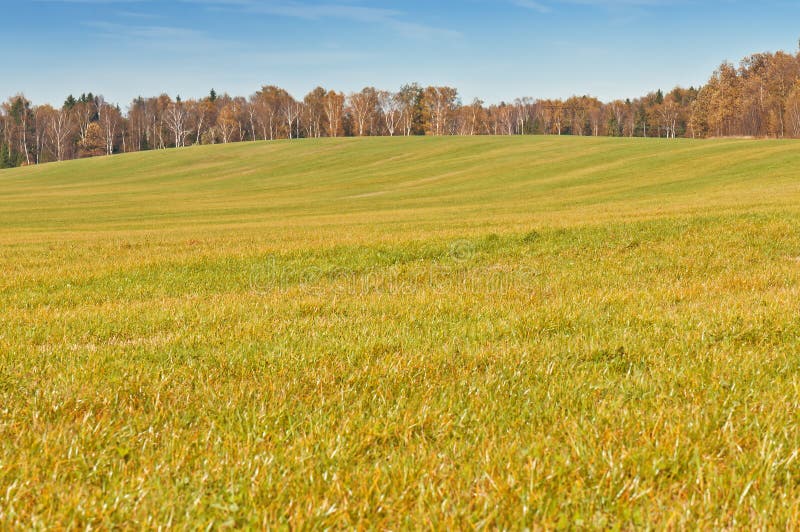 Autumn field stock photo. Image of scenics, horizon, agriculture - 37619278