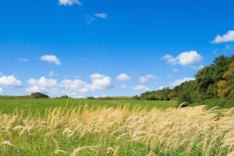 Autumn field. stock photo. Image of forest, shade, park - 3825970
