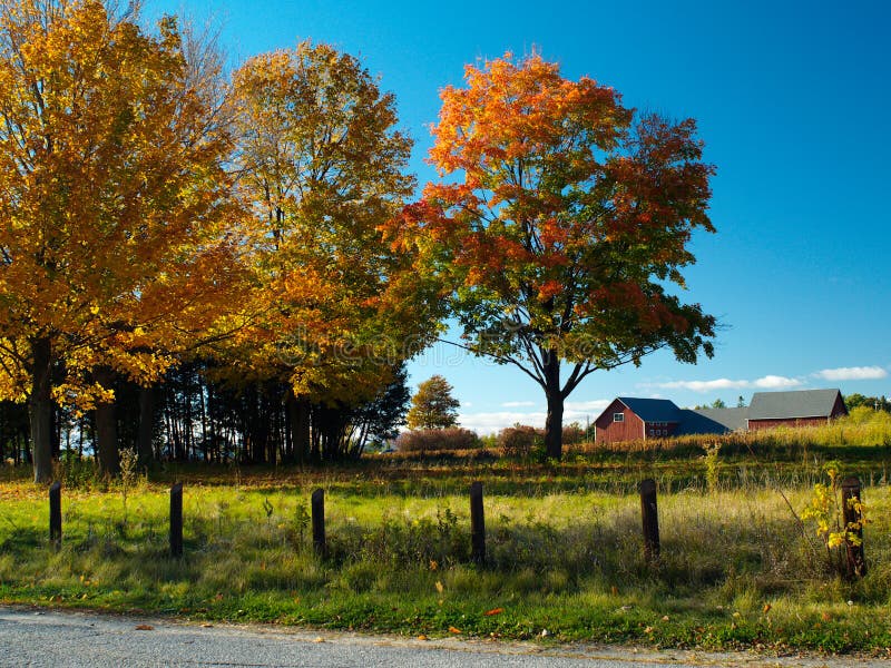 Kentucky Horse Farm stock photo. Image of farm, autumn - 3564020