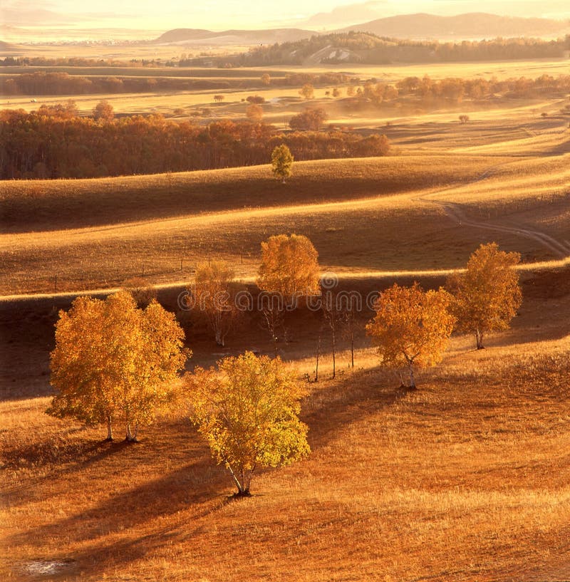 Autumn field stock image. Image of wind, field, landscape - 6708501