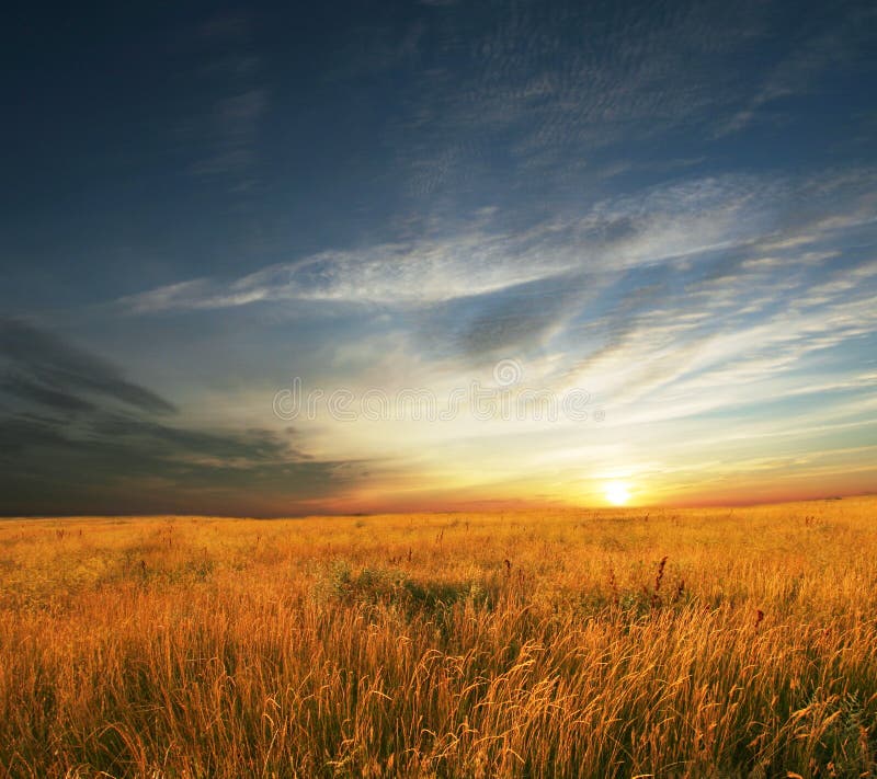 Field on sunset stock photo. Image of land, autumn, field - 6619366