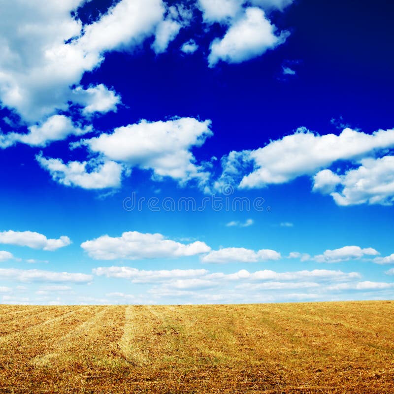 Autumn field stock photo. Image of countryside, agriculture - 7230948