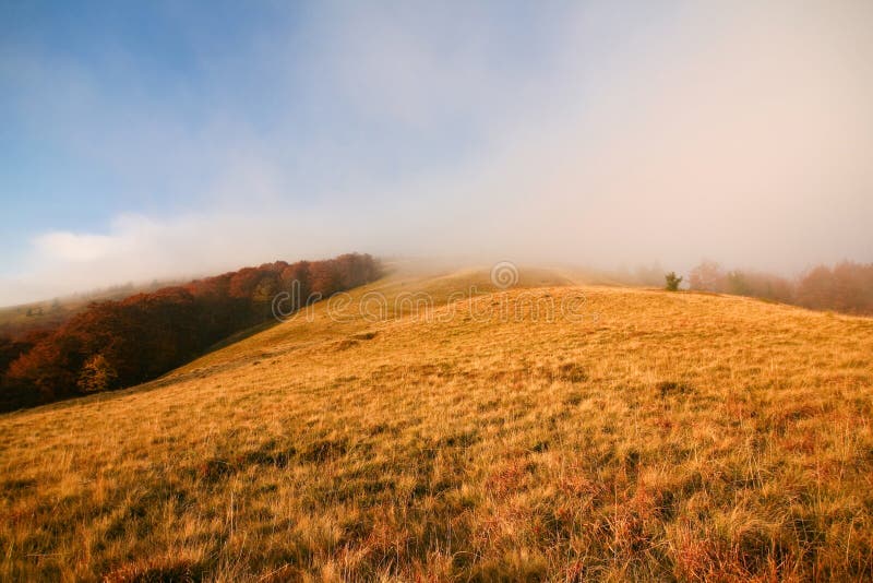 Autumn field stock photo. Image of landscape, meadow, horizontal - 7465156