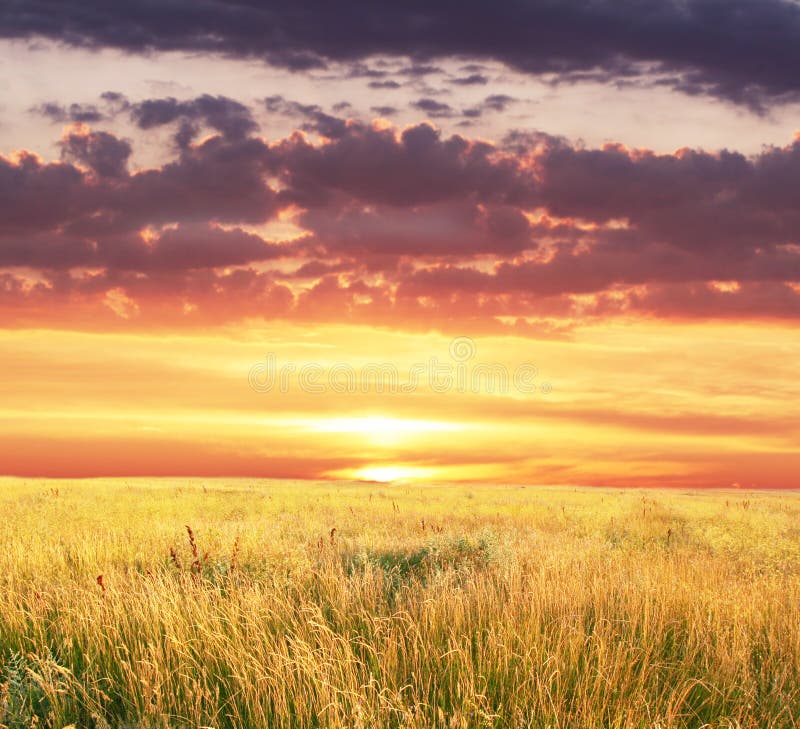 Autumn field stock image. Image of agriculture, harvest - 7672475