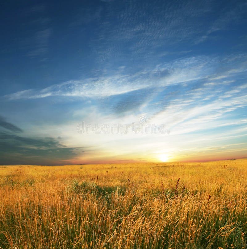 Autumn field at dawn stock image. Image of grass, agriculture - 54156803