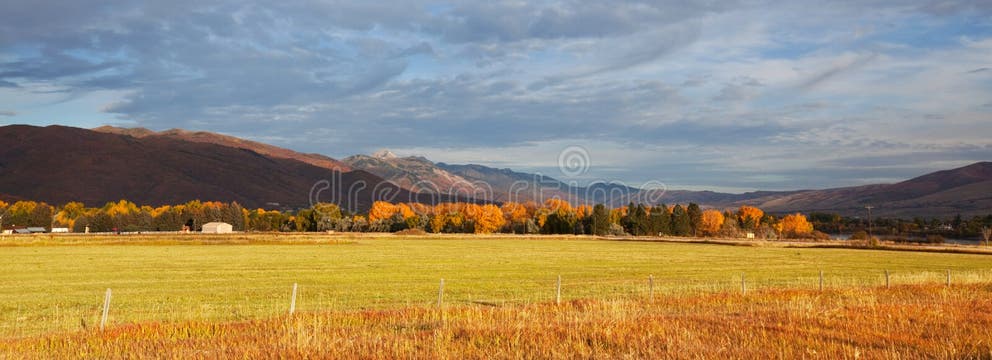 Autumn field stock image. Image of scenic, ripe, farming - 54156981