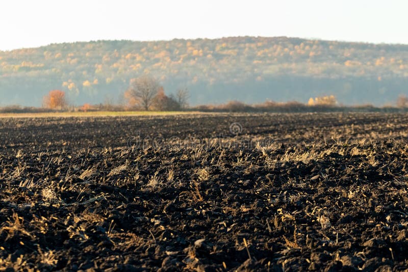Autumn Field with Plowed Soil in Sunny Weather Stock Photo - Image of ...