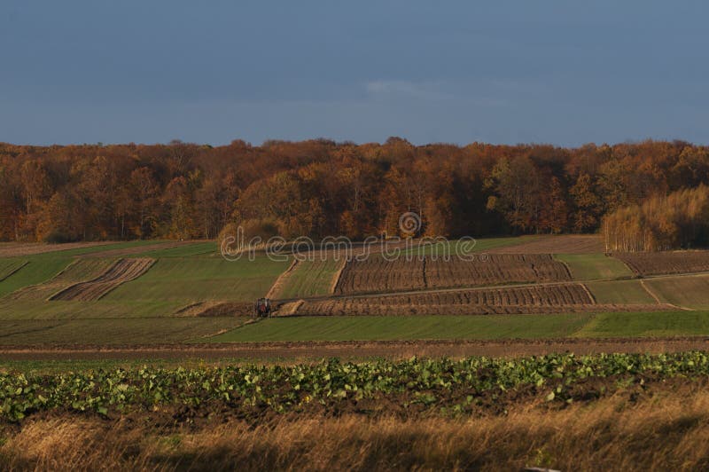 Autumn field in Poland stock photo. Image of season, outdoors - 83600304