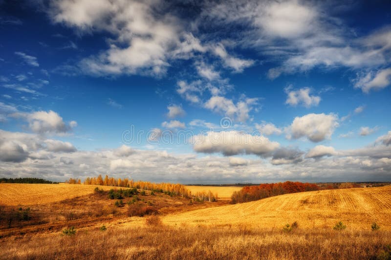 Field. Trees Against the Backdrop of the Picturesque Sky Stock Photo ...