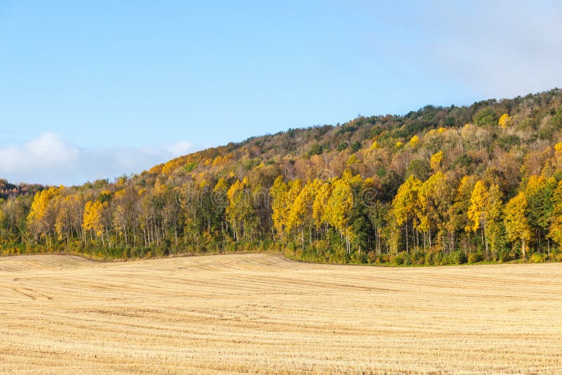 Autumn fields stock image. Image of fall, scandinavia - 42843235