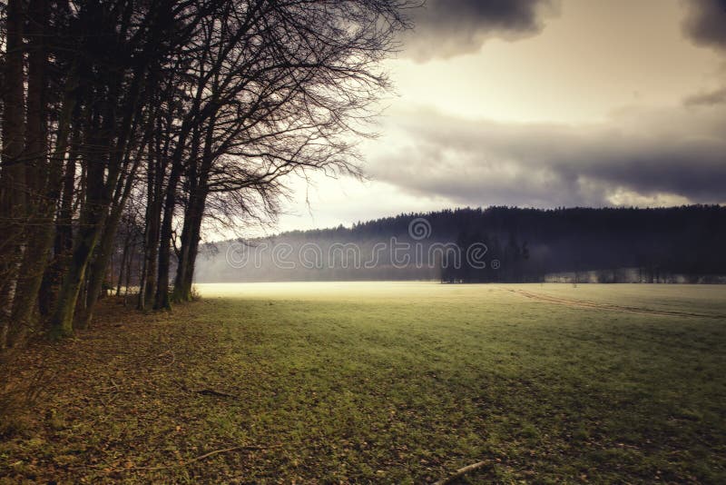 Autumn fields stock photo. Image of hunting, tree, green - 85383470