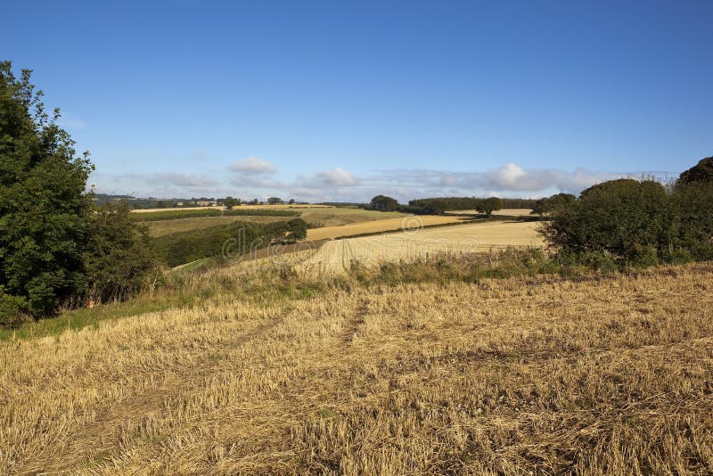 Autumn fieldscape stock image. Image of yorkshire, flora - 26878129