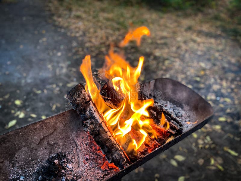Autumn fire stock photo. Image of cold, warm, fire, autumn - 229486546
