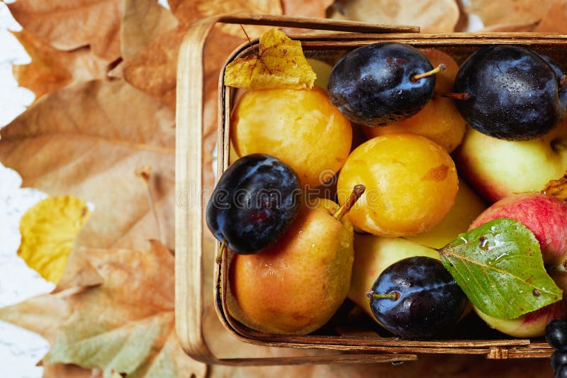 Autumn Flat Lay with Apples, Pears, Plums, Leaves and Basket Stock ...