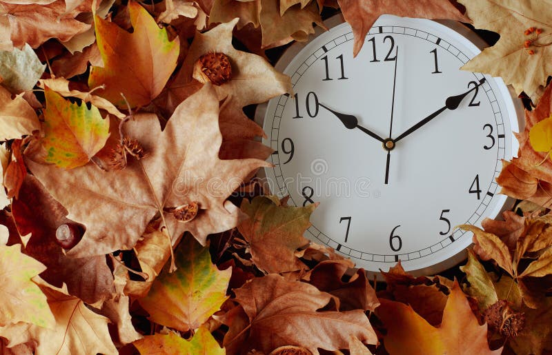 Autumn Flat Lay with Clock and Leaves Stock Image - Image of hour ...