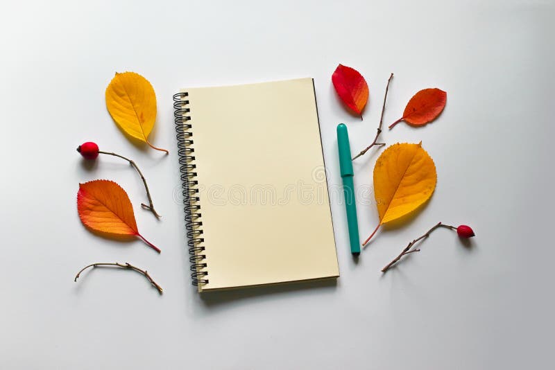 Autumn Flat Lay Composition. Bright Leaves with Notebook on a White ...
